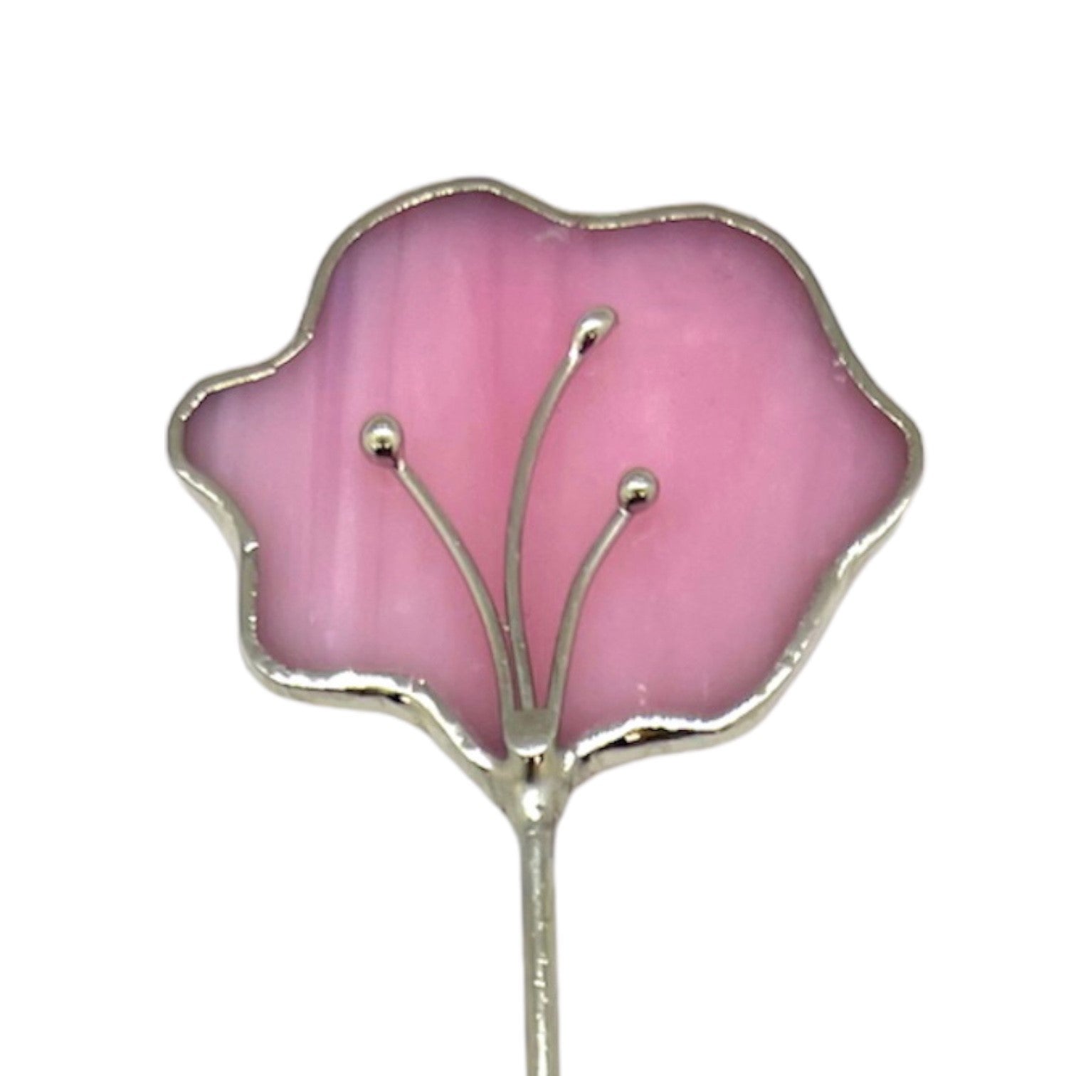 Wildflower F005 – Switchables