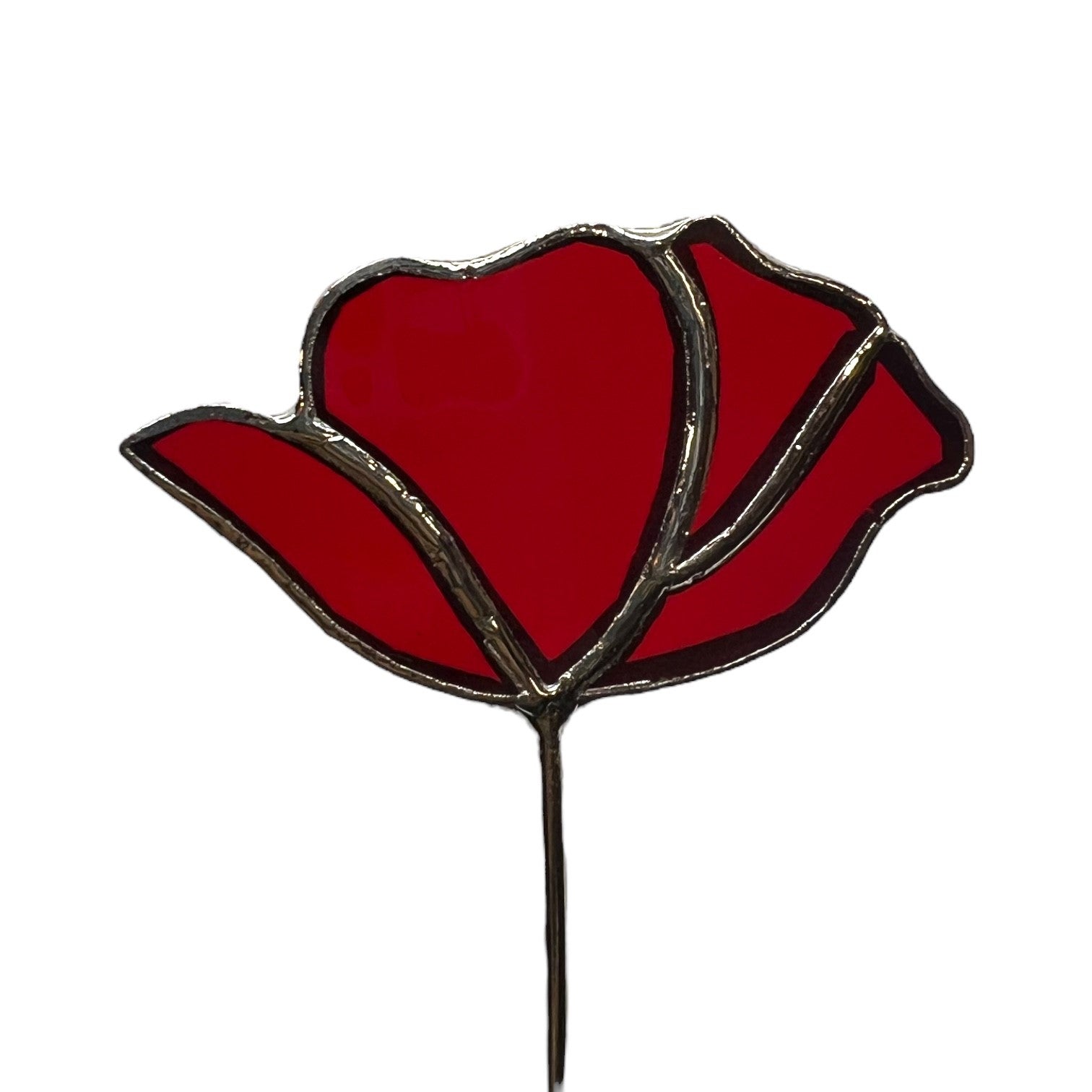 Wildflower F005 – Switchables